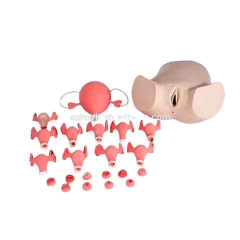 Company Overview - Dm Model Manufacturing Co., Ltd.