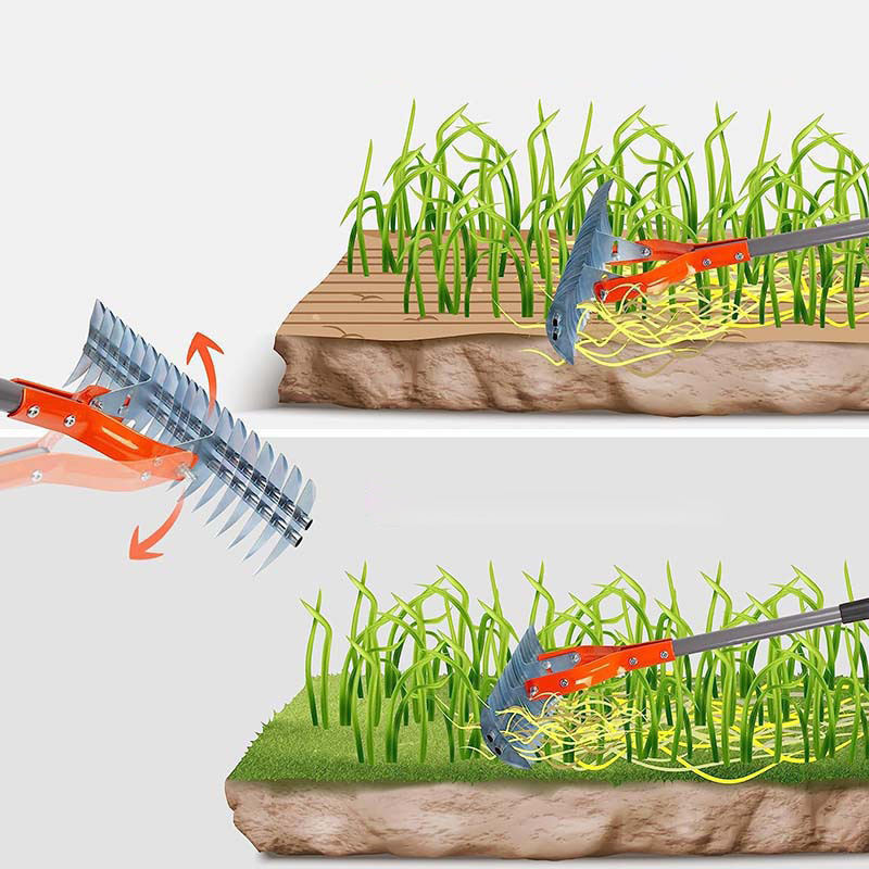 DD4352 Industrial-Grade DIY Lawn Thatched Rake Multifunctional Iron ...