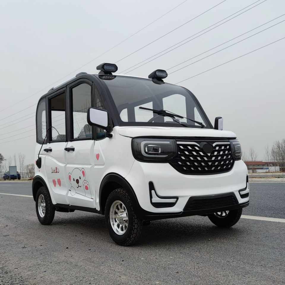 New Energy Electric Four-wheel Vehicle Fully Enclosed Elderly Commuting ...