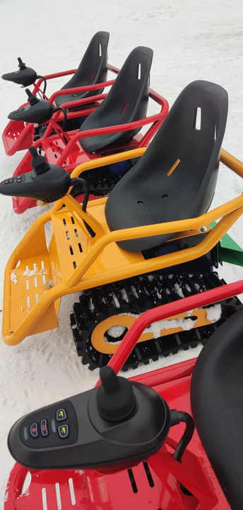 Customizable Electric Go Karts For Outdoor Racing & Fun