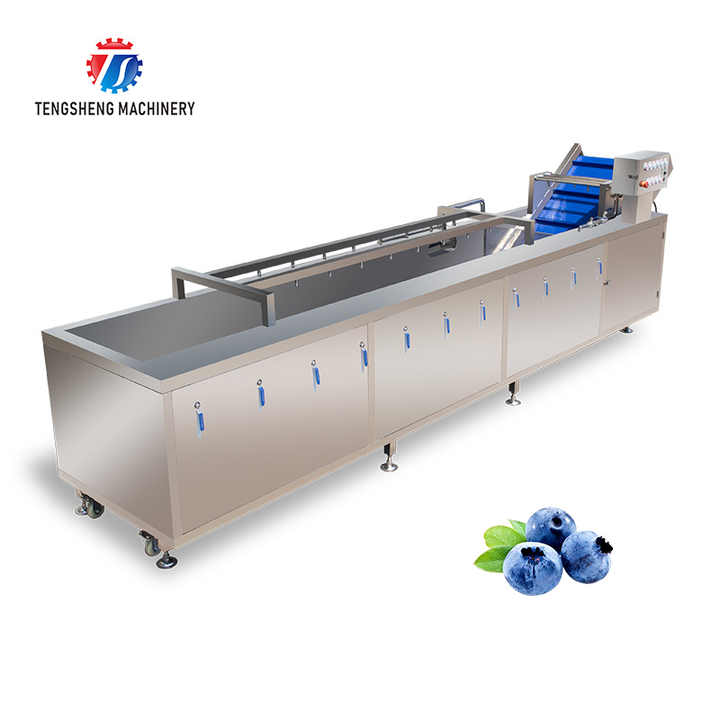 Fruit and Vegetable Bubble Washer - Efficient Cleaning
