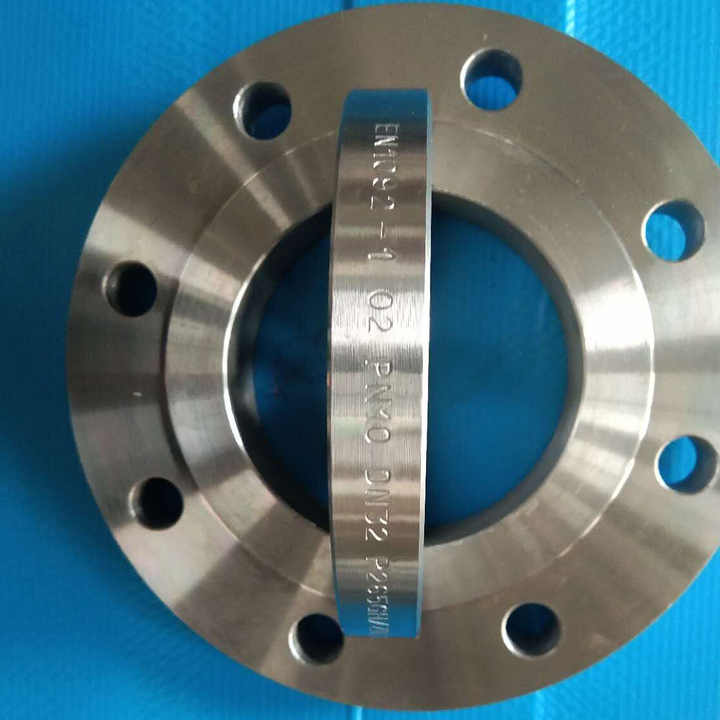 Plate Flange DN20 DN40 Pn40 Flange Din Standard - CZIT