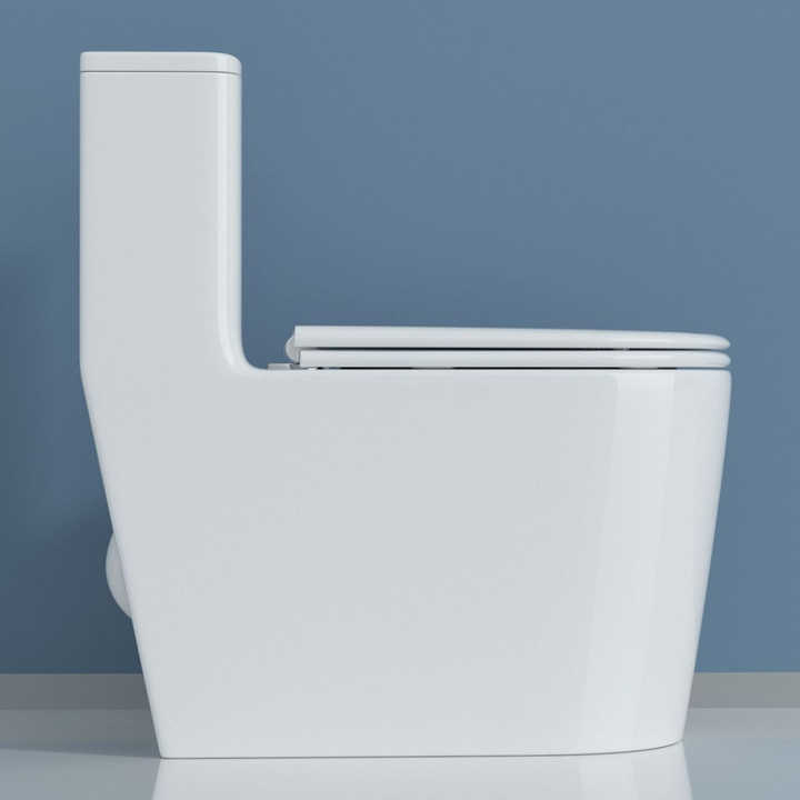 High End Modern Dual-Flush One Piece Toilet with Concealed Tank and P ...