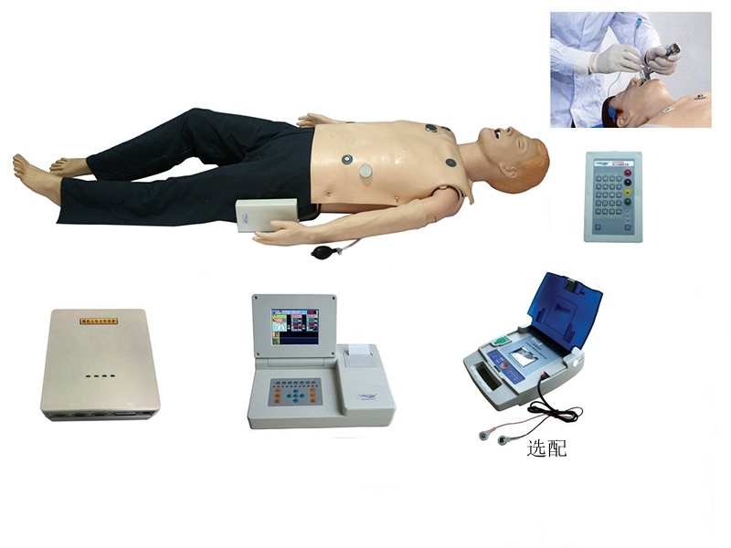 Empower Learning with Cutting-Edge human teach femal health model Resources