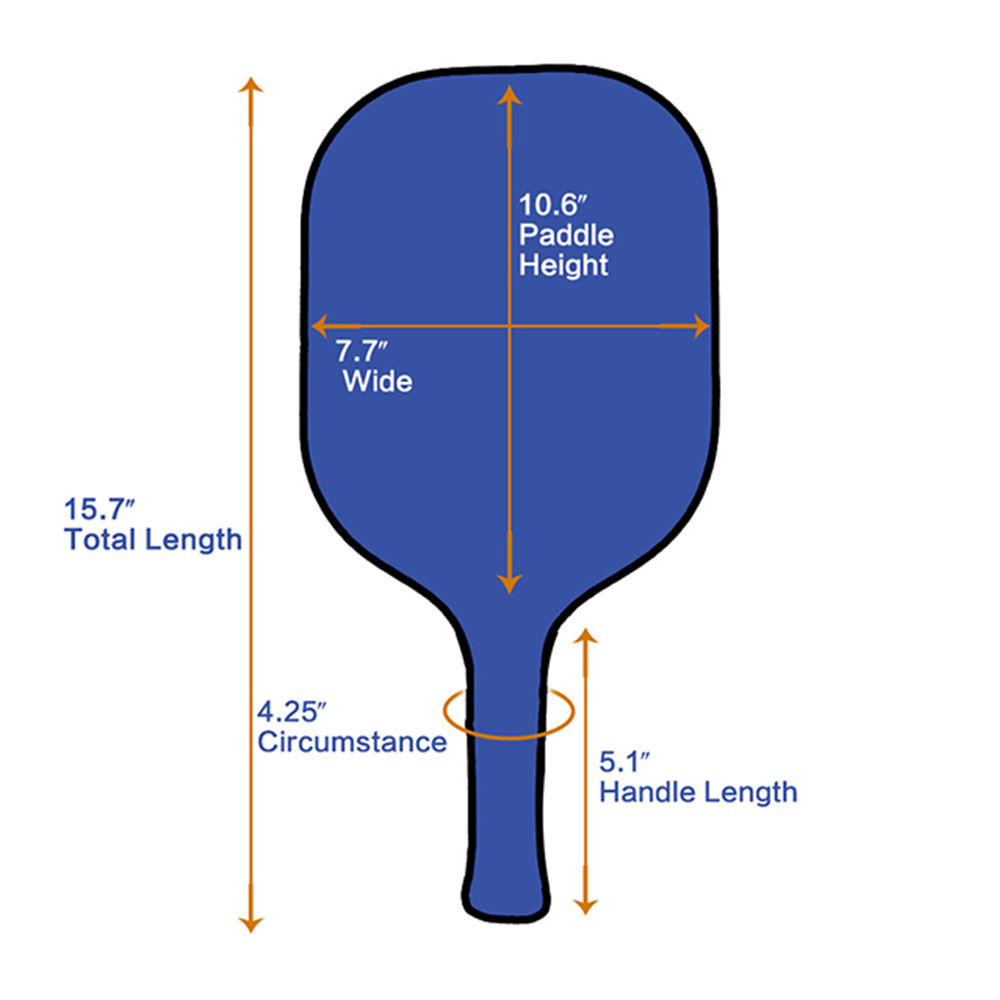 How to Choose the Best Pickleball Wind Amun Graphite Paddle