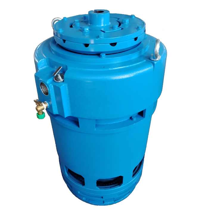 VHS Vertical Hollow Shaft Electric Motors - Reliable Power