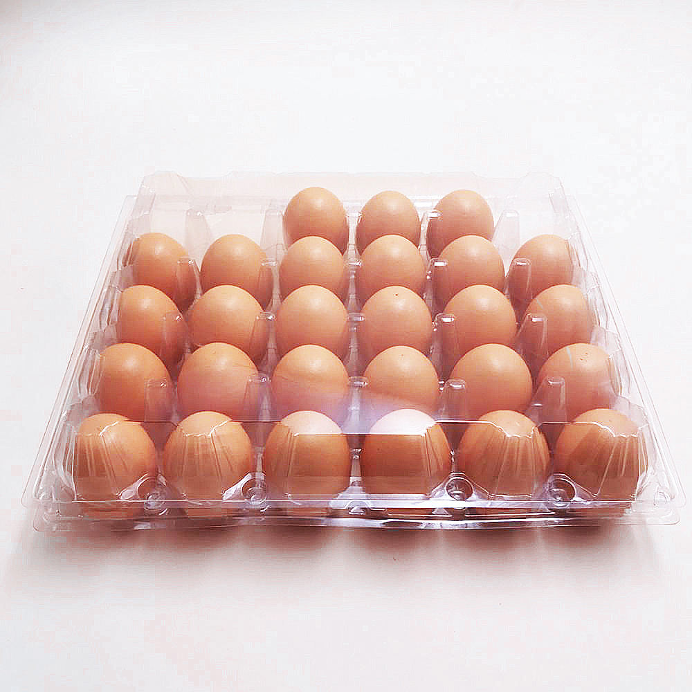 Custom, Trendy Plastic Carton Box for Packing and Gifts - Alibaba.com