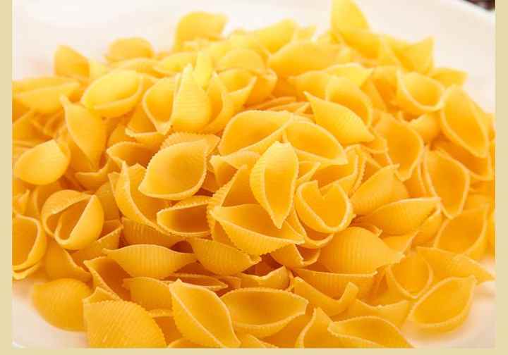 Stainless Steel Double Screw Extruder: Automatic Pasta Machine for Food ...