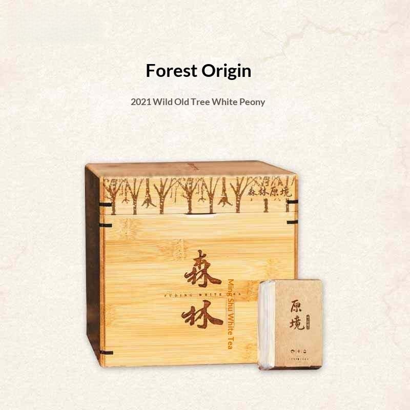 Tea Industry Shanghai Origin Organic Health 2021 Forest Wilderness Old ...