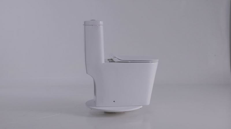 Spy Camera at Toilet - Toilet Spy Detector Device