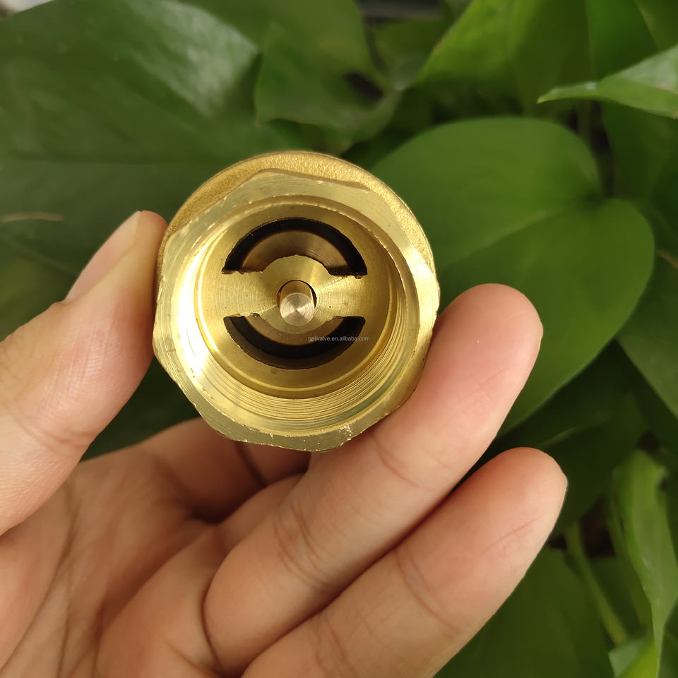 Manual One-Way Copper Vertical Check Valve Brass Backflow Prevention ...