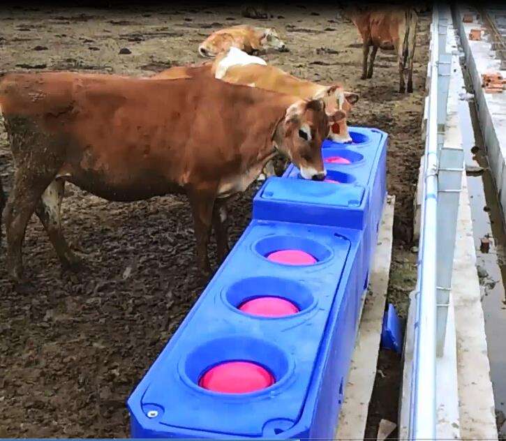 Innovative Solutions for Your mobile drinker Needs in Global Markets