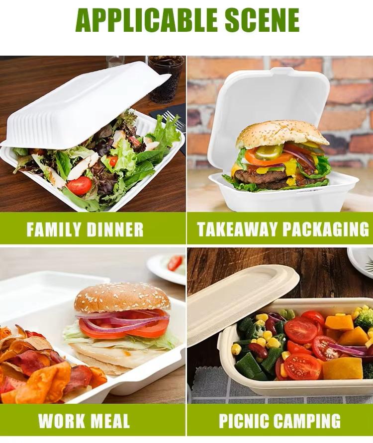 Disposable Biodegradable Lunch Box Sugarcane Food Container Hamburger ...