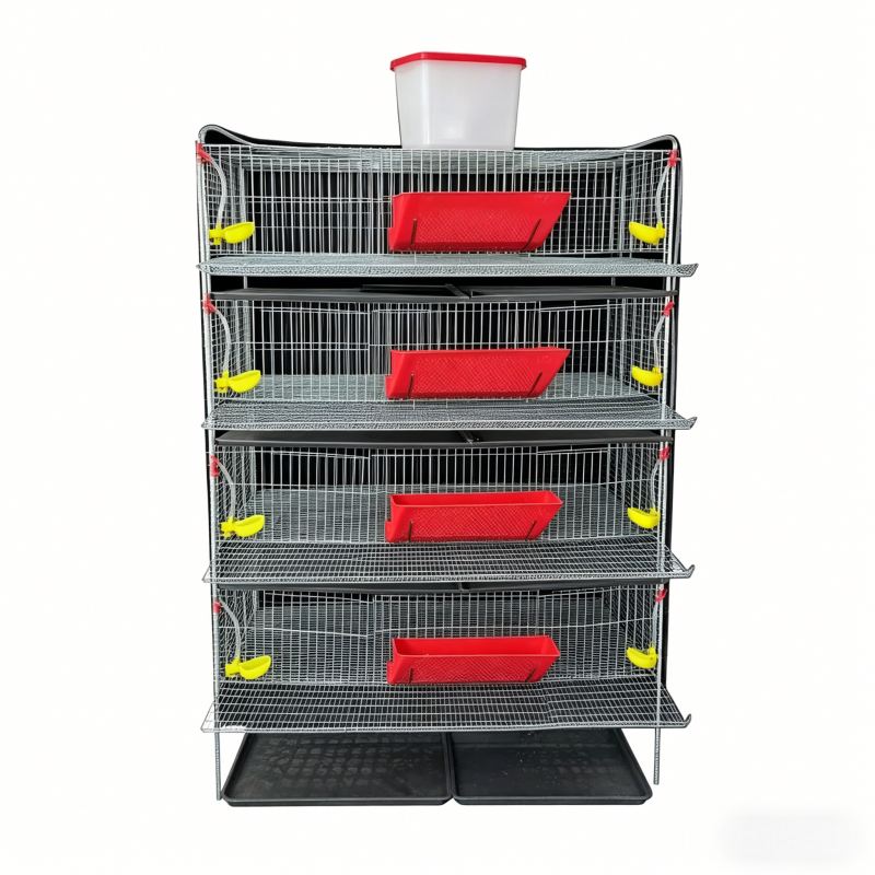 Caged Water Tanks - 1000L HDPE Steel Cage for Liquid Storage