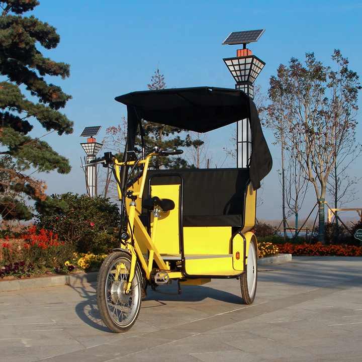 Electric Pedicab Rickshaw Tricycle Cargo Taxi Bike cabined passenger ...