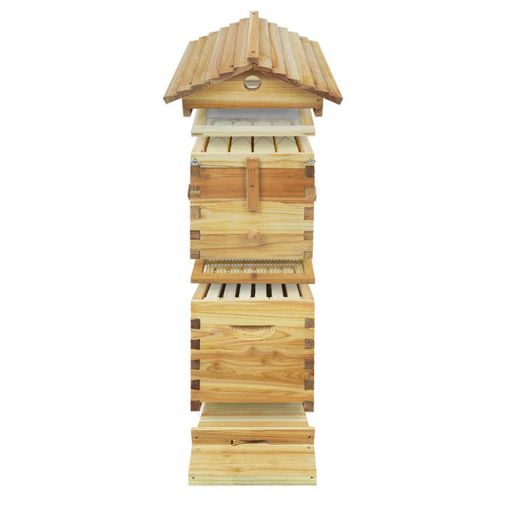 Automatic Flowing Hive Beehive Complete Kit Bee Hives Boxes Starter Kit ...