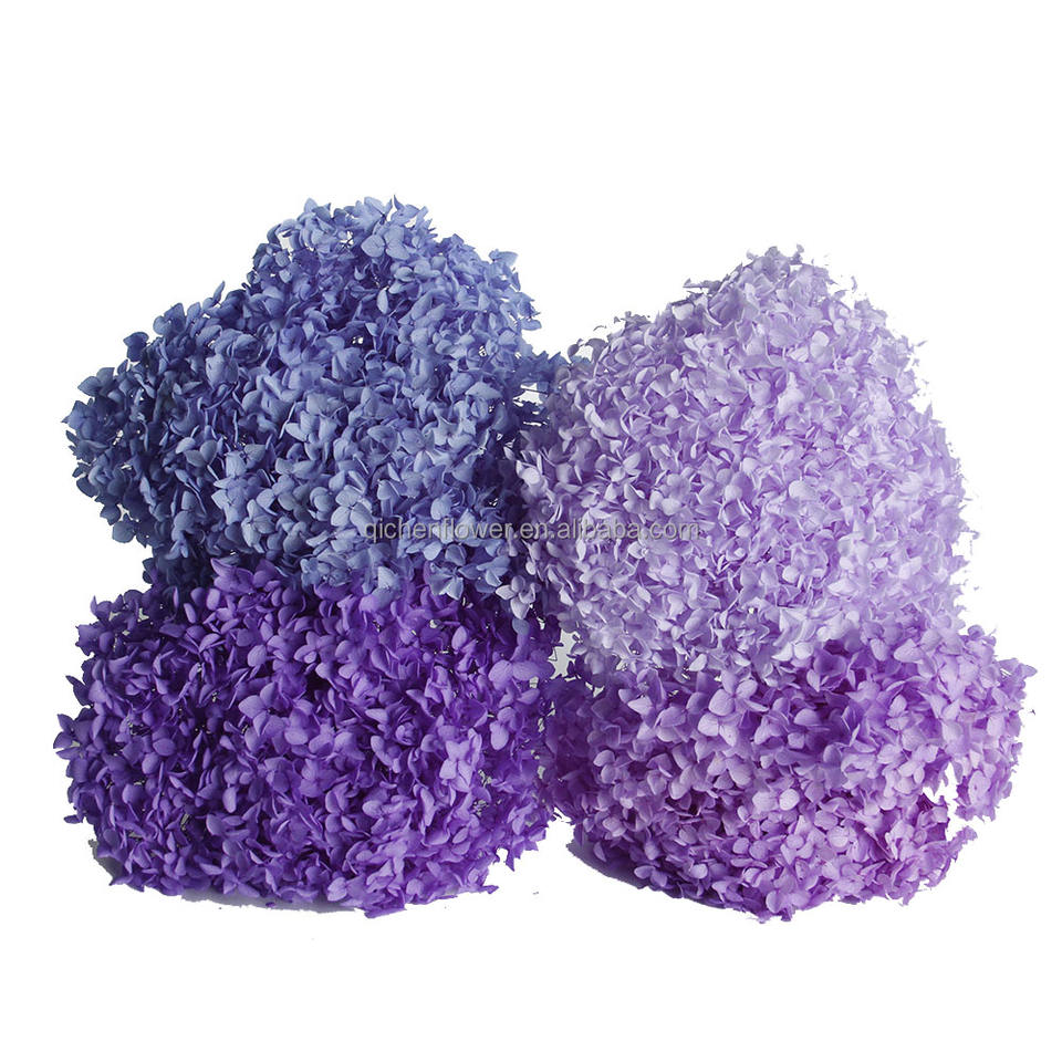Preserved Anna Hydrangea With Stem| Alibaba.com