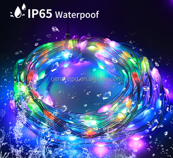 Addressable IP67 Outdoor Christmas Lights LED String 220V WS2811 Smart ...