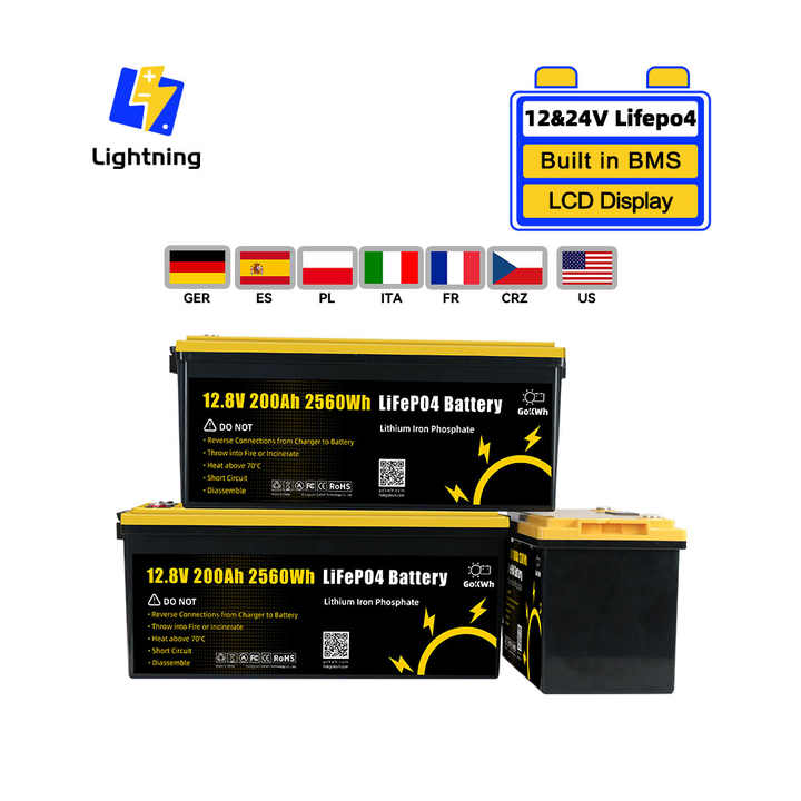 Local Warehouse EU US Stock Warehouse 12v 24v 100Ah 200Ah LiFePO4 ...