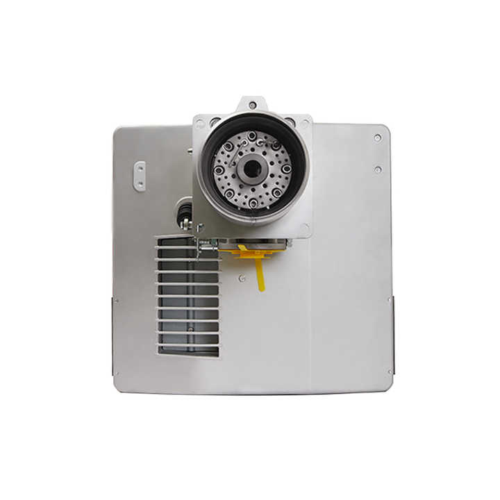 THEHAO Two Stage Progressive Gas-Fired Boiler Burner 230V/50Hz 220V ...