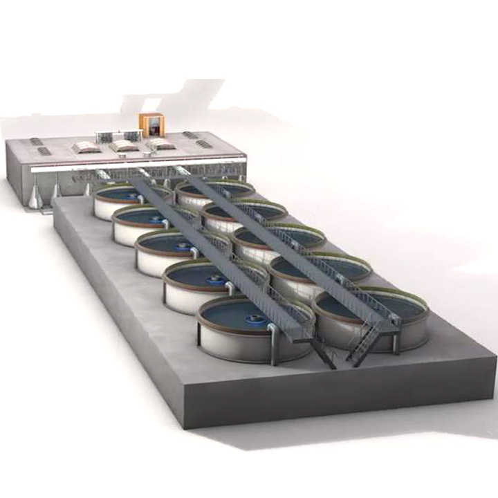 Industrial Fish Farm Freshwater Salmon Farming in India