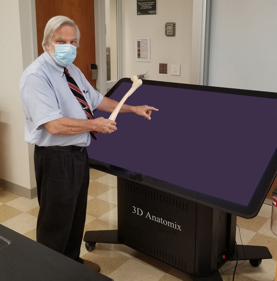 Virtual Anatomy 3D Dissection Table for Anatomy and Physiology ...