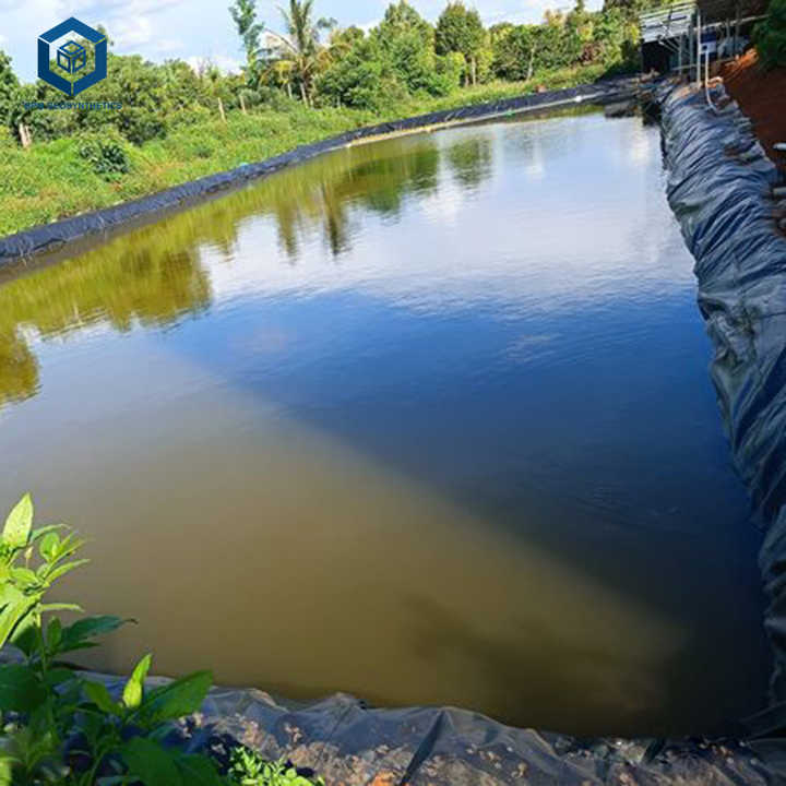 Impermeable HDPE Geomembrane Roll for Artificial Lake Polyethylene ...