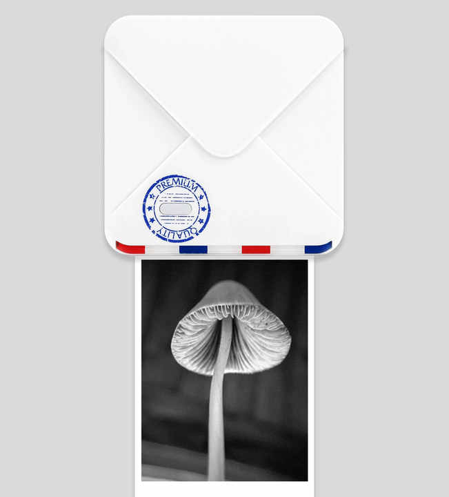 AIMO Mobile Portable Thermal Photo Receipt Sticker Printer With Support ...