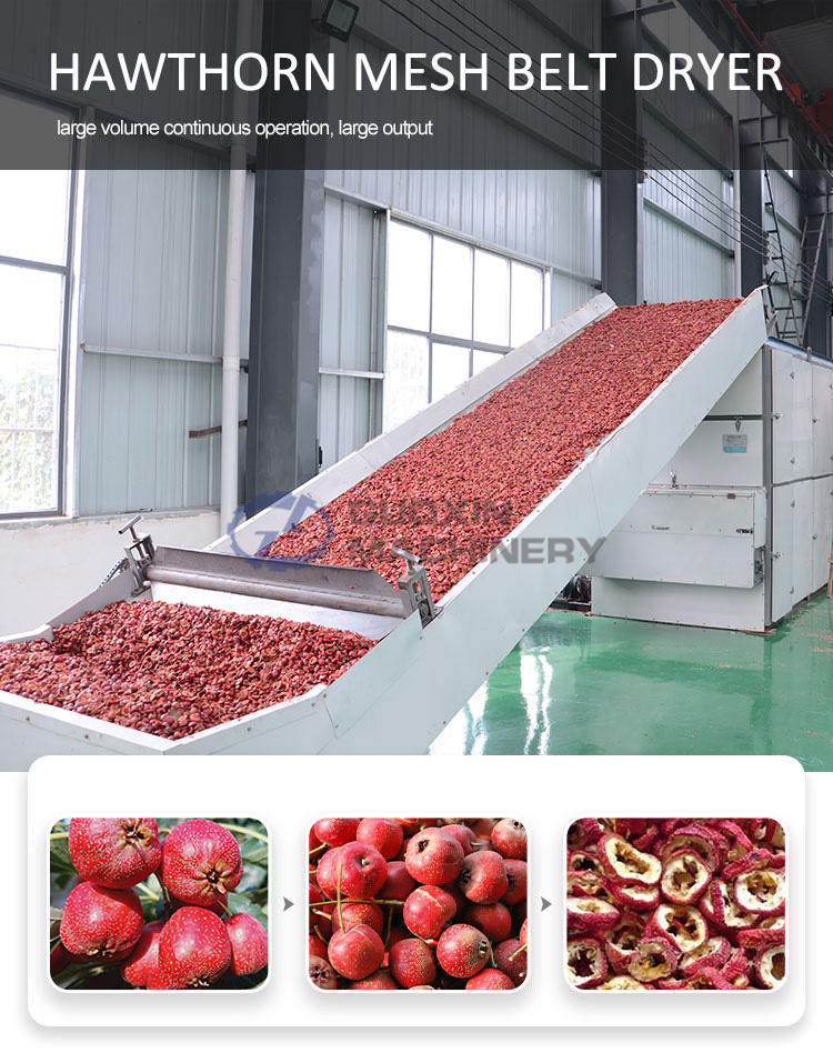 Industrial Gas Powered Food Dehydrator - Efficient Fruit & Vegetable ...