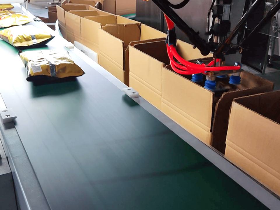 Robot Carton Placing Case Packer E-Commerce Box Packaging Machine ...