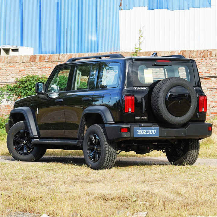 2023 2024 Great Wall Gwm Tank 300 - Hybrid SUV Phev Version