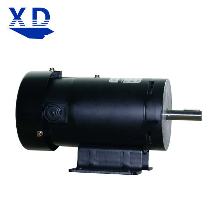 300W DC Permanent Magnet Motor - High Torque Gear Motor