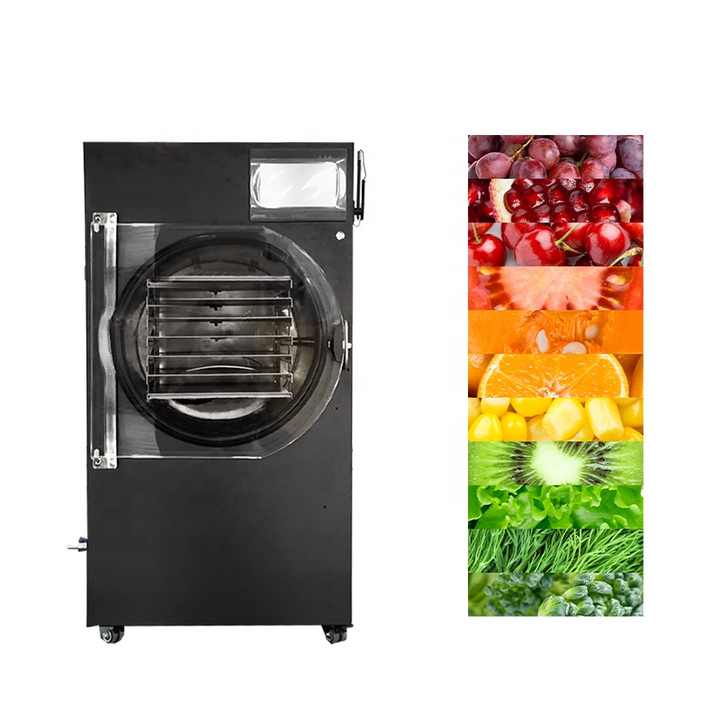 Mini Freeze Dryer Small Freezing Dryer Machine for Home Use Vacuum Freeze Dryer for Fruit ...