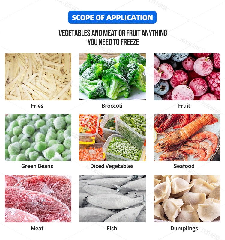 Industrial Blast Freezer Explosion Proof for Laboratory Hazardous ...