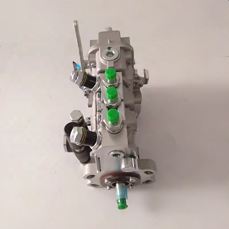 How to Choose the Best 3 Cylinder Diesel Injection Pump: A Complete ...