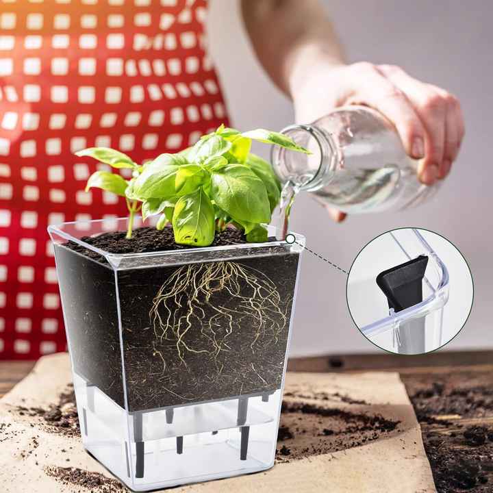 Eco-friendly Transparent Flower Planter - Self Watering