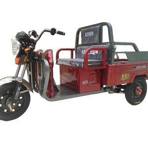 Powerful motor cargo tricycle 110cc With Modern Technology – Alibaba.com