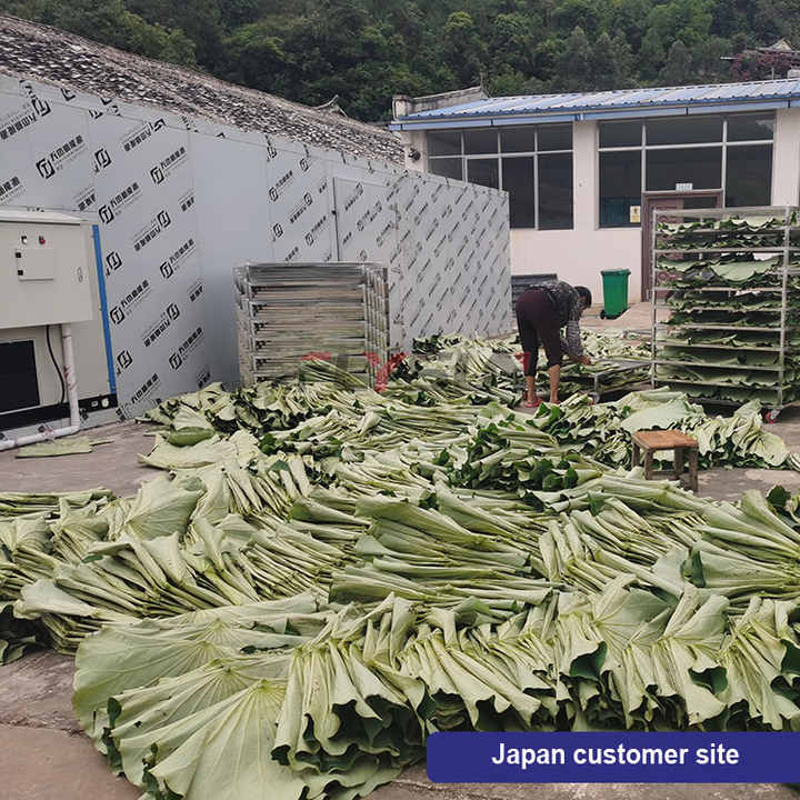 Hot Air Circulating Dryer Sargassum Microalgae Spirulina Seaweed Drying ...