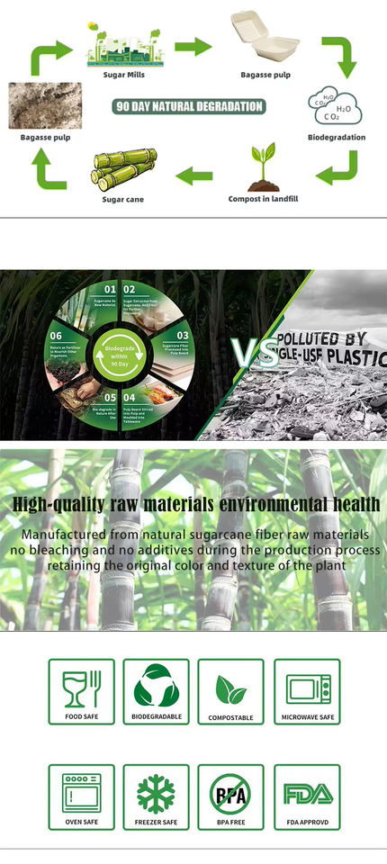Disposable Biodegradable Lunch Box Sugarcane Food Container Hamburger ...
