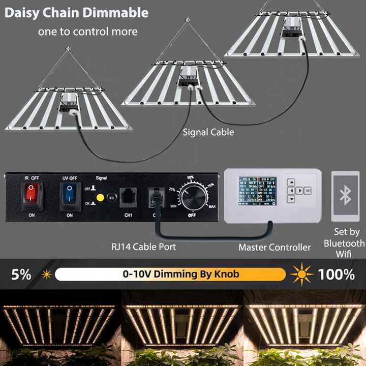 2025 Best Samsung Lm301h Evo Grow Lights 1000W Full Spectrum Lamp Balanced PPFD Led Grow Light ...