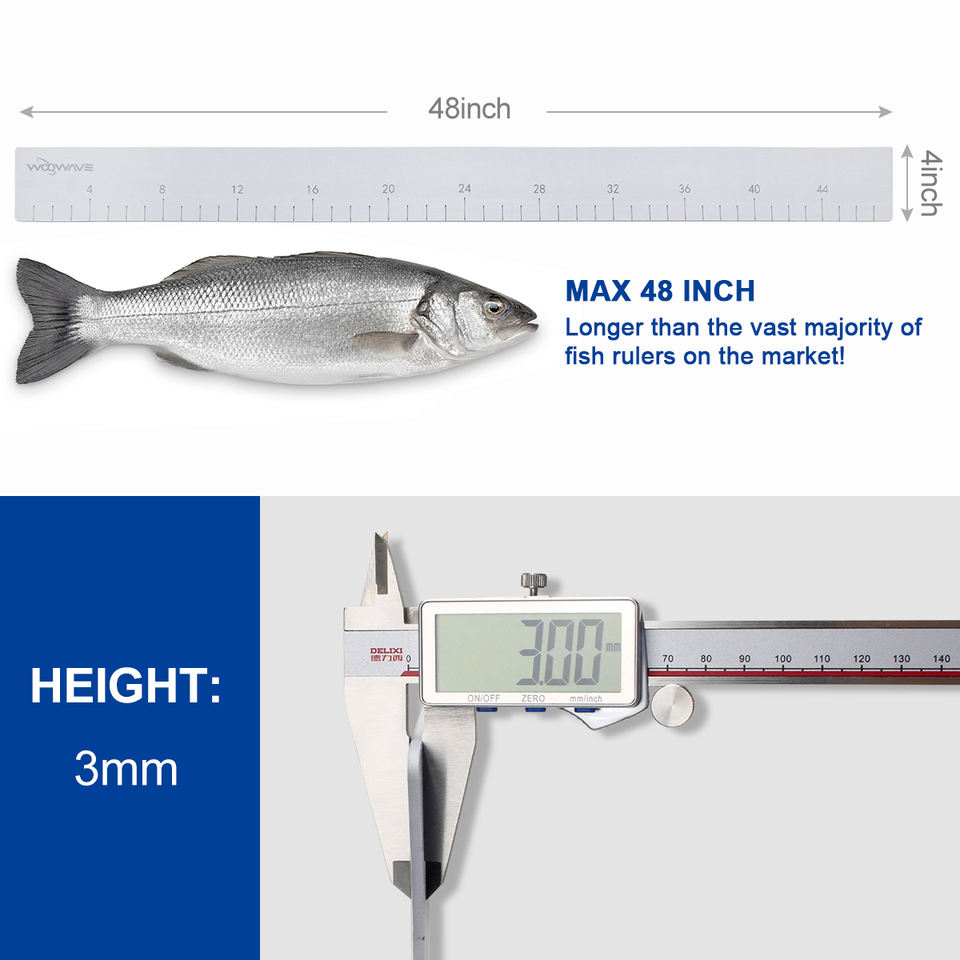 WOOWAVE New Arrival EVA Fish Ruler Foam Rolling Adhesive Fish Fishing ...