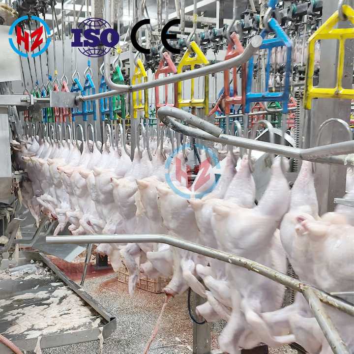 Poultry Slaughterhouse, Chicken Slaughterhouse, Automatic ...