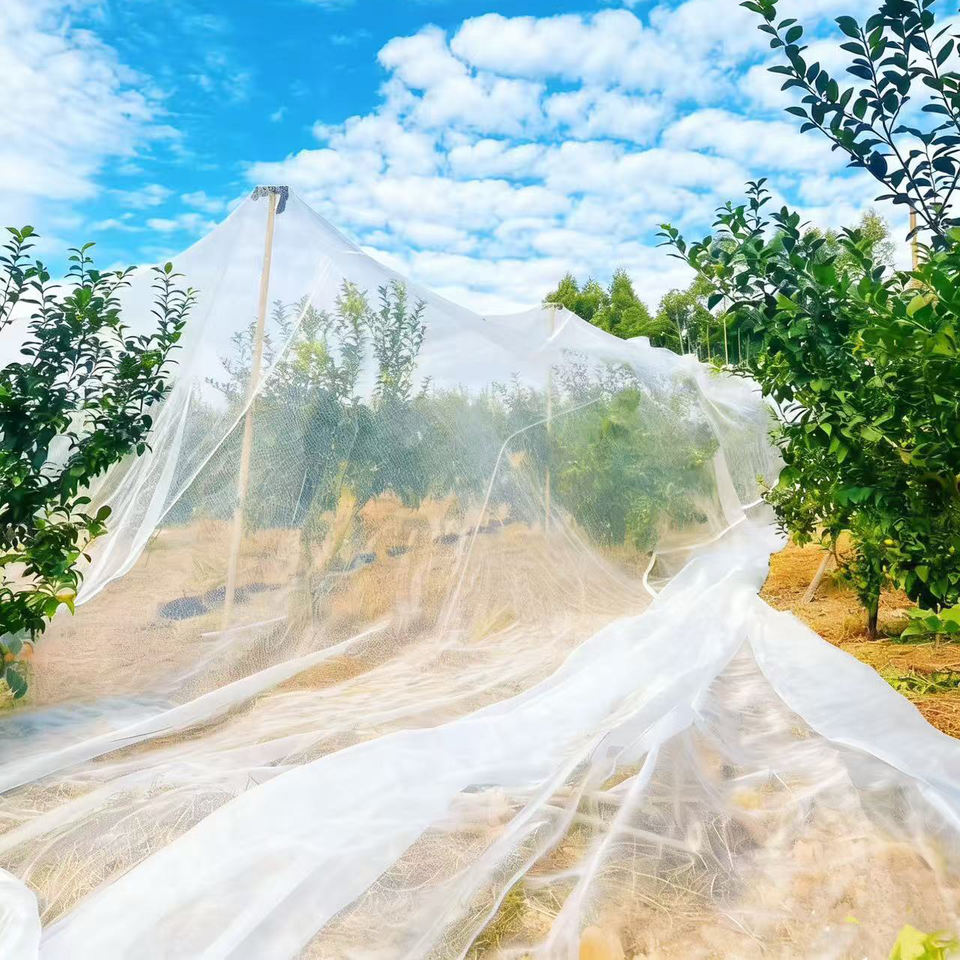 Insect Netting Anti UV Agriculture Greenhouse Mesh for Greenhouse ...