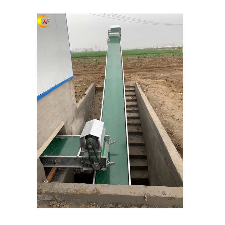 Efficient Chicken Manure Removal System for Farms