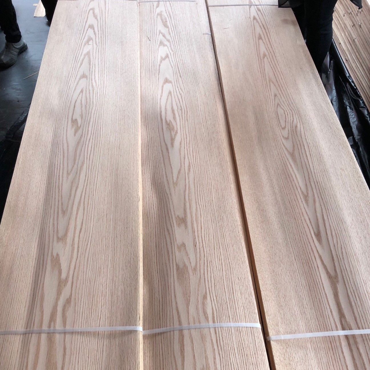 How to Choose the Best Red Oak Acorn for Your Needs