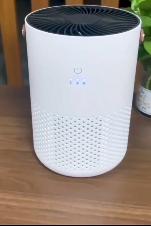 Best Air Purifier on Temu - HEPA 13 with Aromatherapy