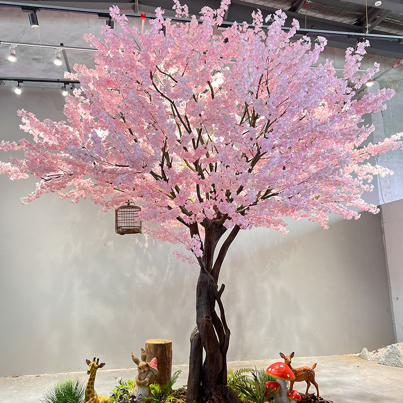 How to Choose the Best Cherry Blossom Tree 5 Feet for Your Space