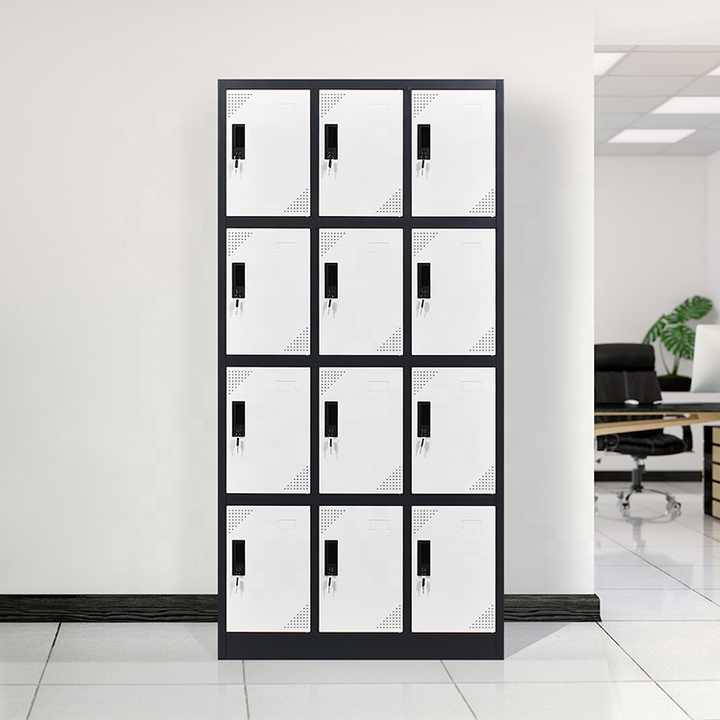Modern Design Gym Locker Cabinet with 12 Doors Lockers Metal Steel ...