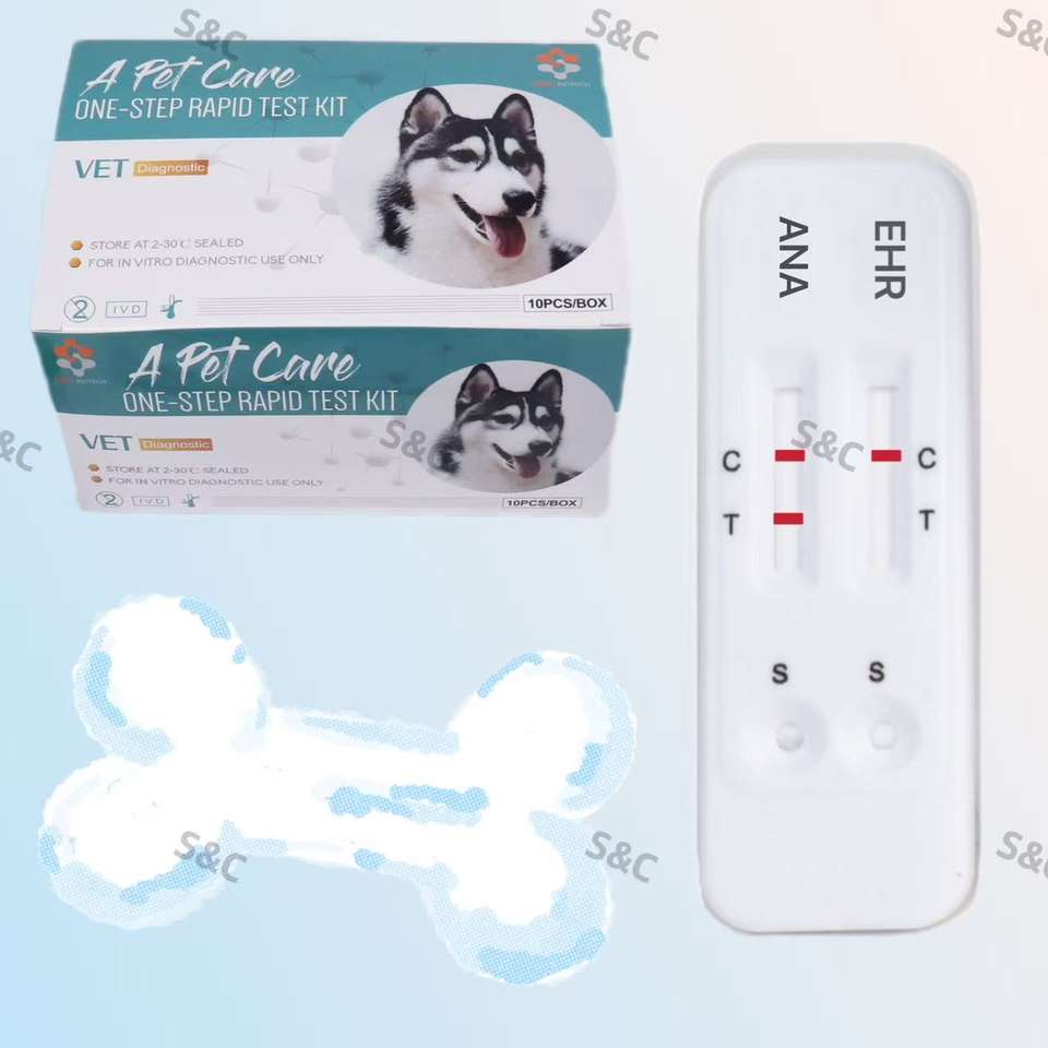 Veterinary Kit test De Erliquia Anaplasma EHR/ANA Dog 2 Way Diagnostic ...