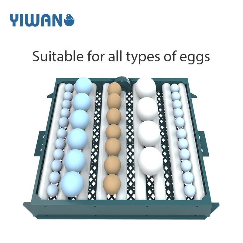 Small Chicken Hatchery Machines - Efficient & Reliable
